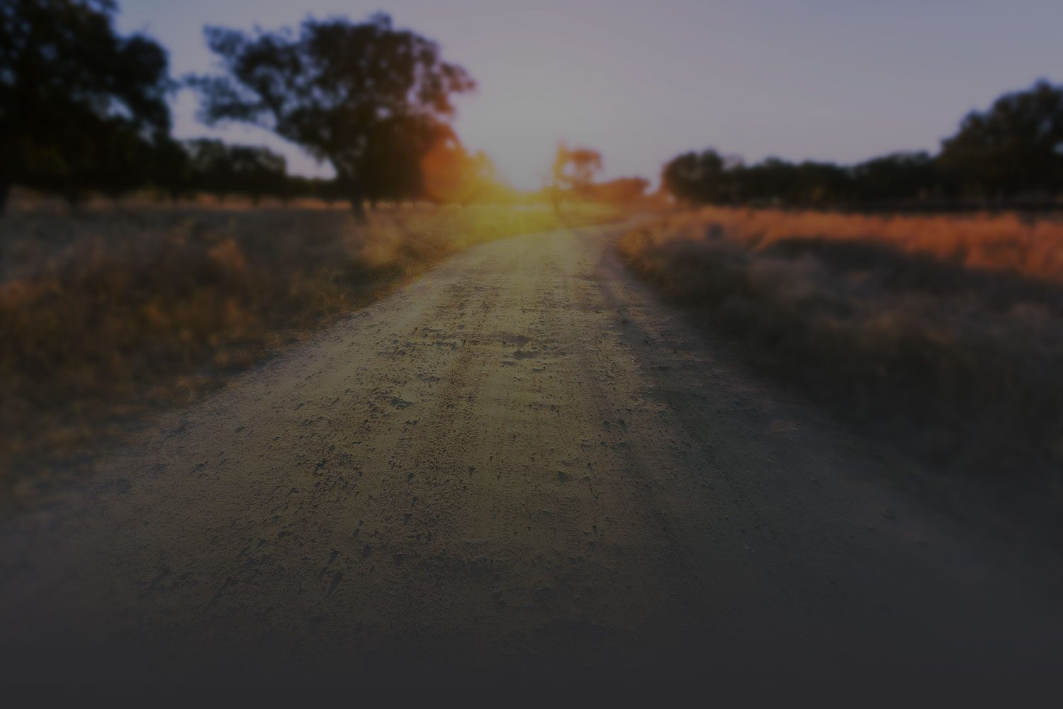 Substance use & mental health counseling | Guiding Paths Counseling